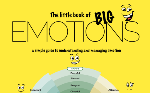 The Little Book of Big Emotions
